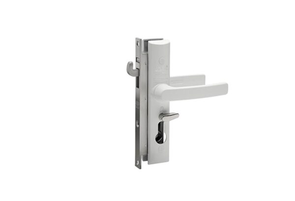 Lockwood Security Handle And Lock For Hinged Doors - Wynstan